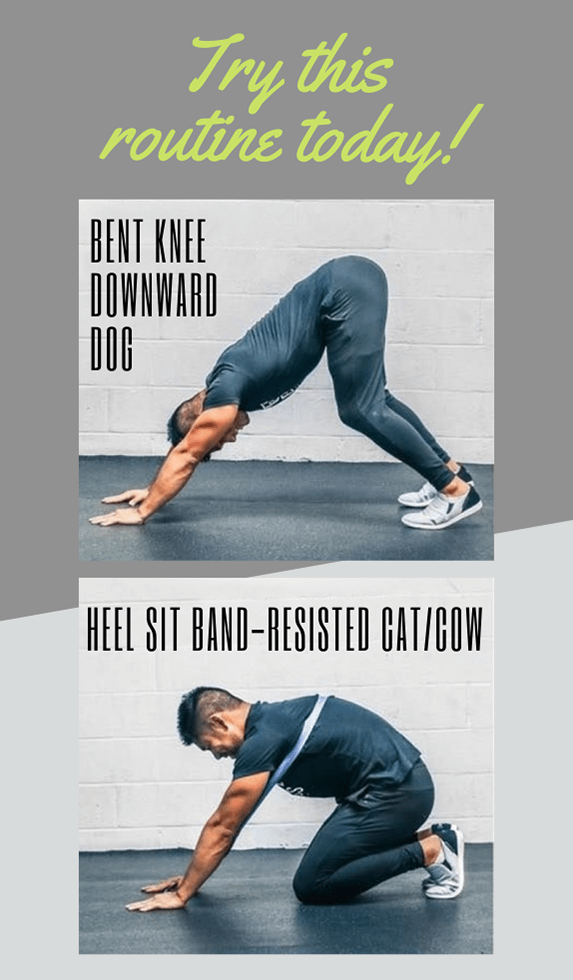 Thoracic Mobility Guide | Easthill Physiotherapy & Acupuncture